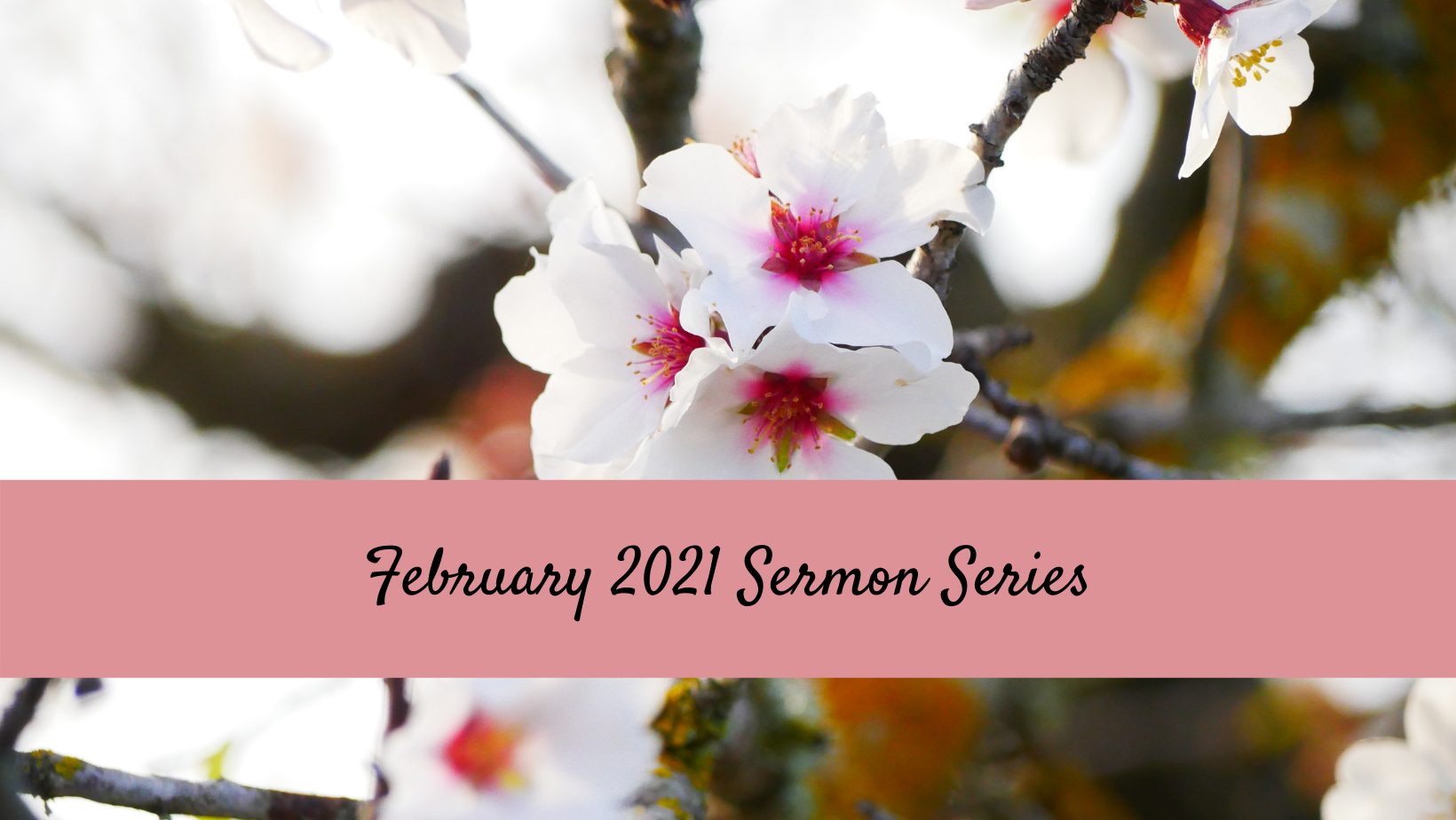 February Sermon Series – Pine View Baptist Church