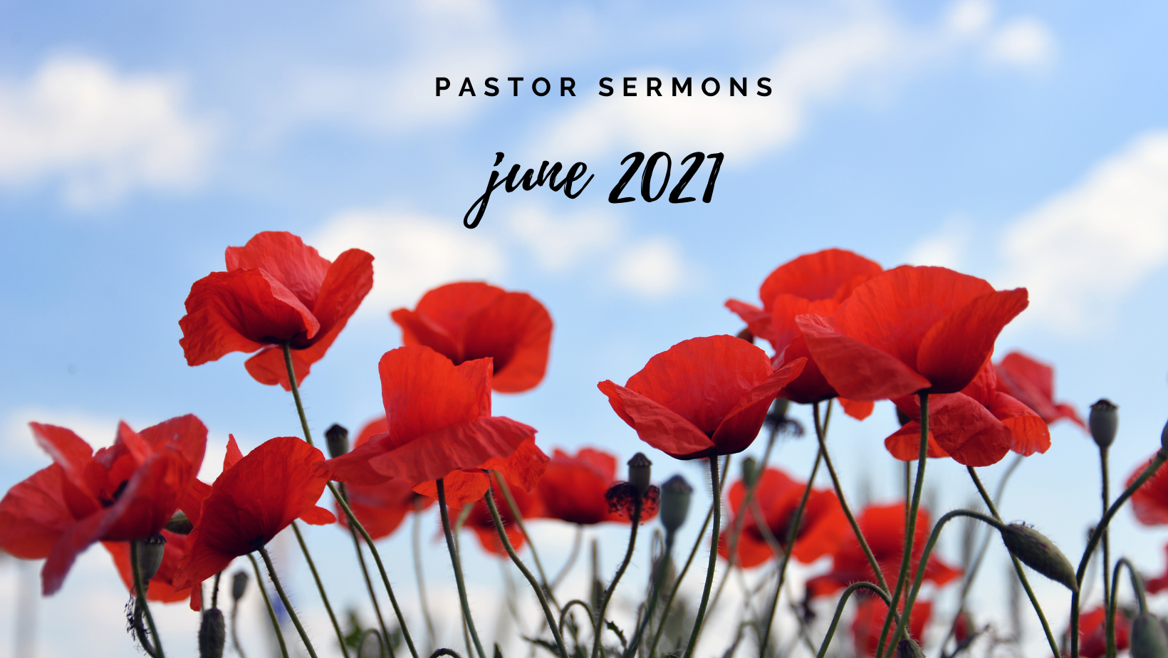 June Sermon Themes – Pine View Baptist Church